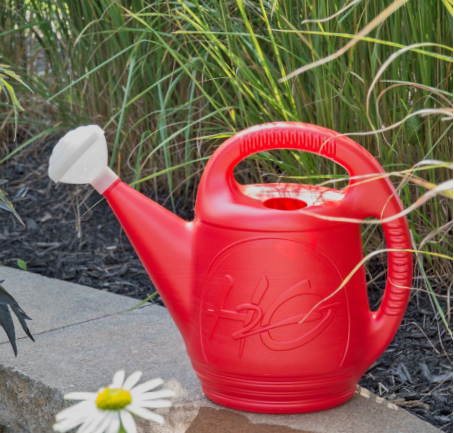 Large 2 Gallon Watering Can H20 – CountrySense